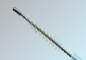 Cytology Brushes - Endomed Technologies